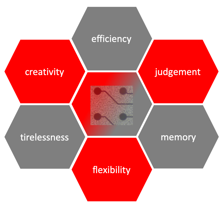 Towards the increase of computing power - Bioserver - Join the Revolution